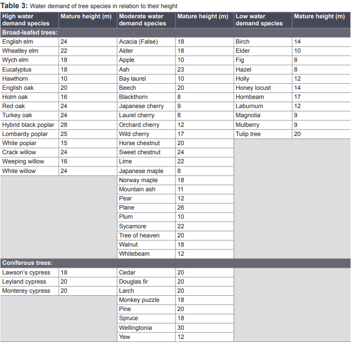 🌳🏠Trees near your home: Why can they cause problems? – HM Structures